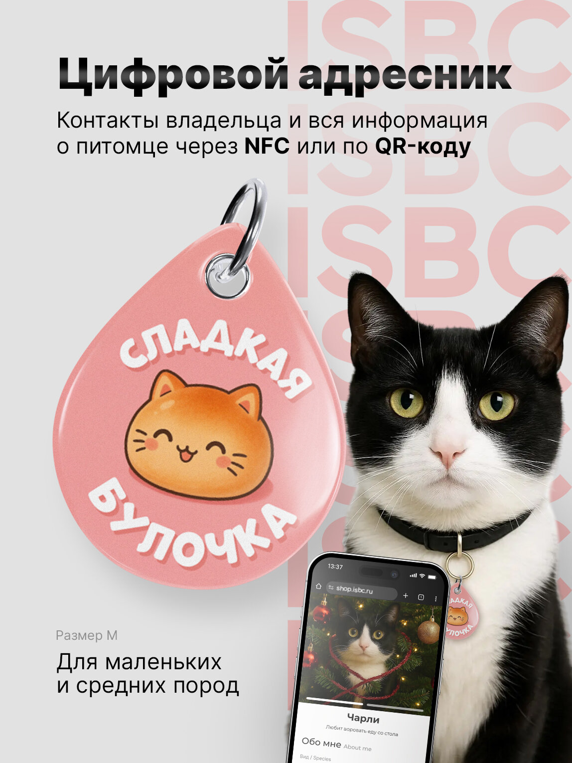 Цифровой Адресник для кошек от ISBC с NFC и QR-кодом, Сладкий котик