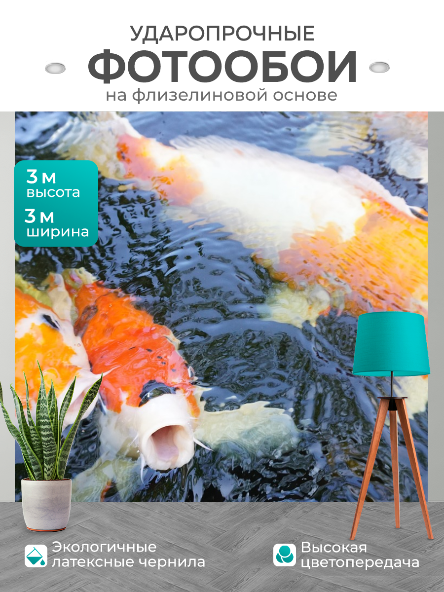 Фотообои моющиеся ударопрочные "Рыбы, аквариум, гарп рыба" 300x300 см. флизелиновые на стену