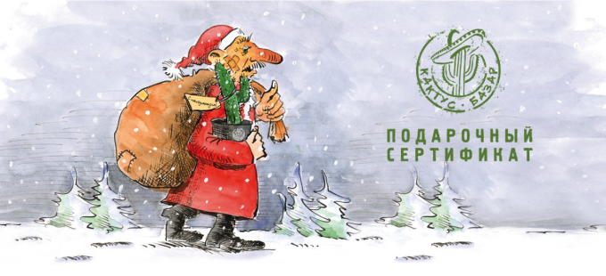 Подарочный сертификат - Кактус-Базар | номинал 3000 RUB | Россия