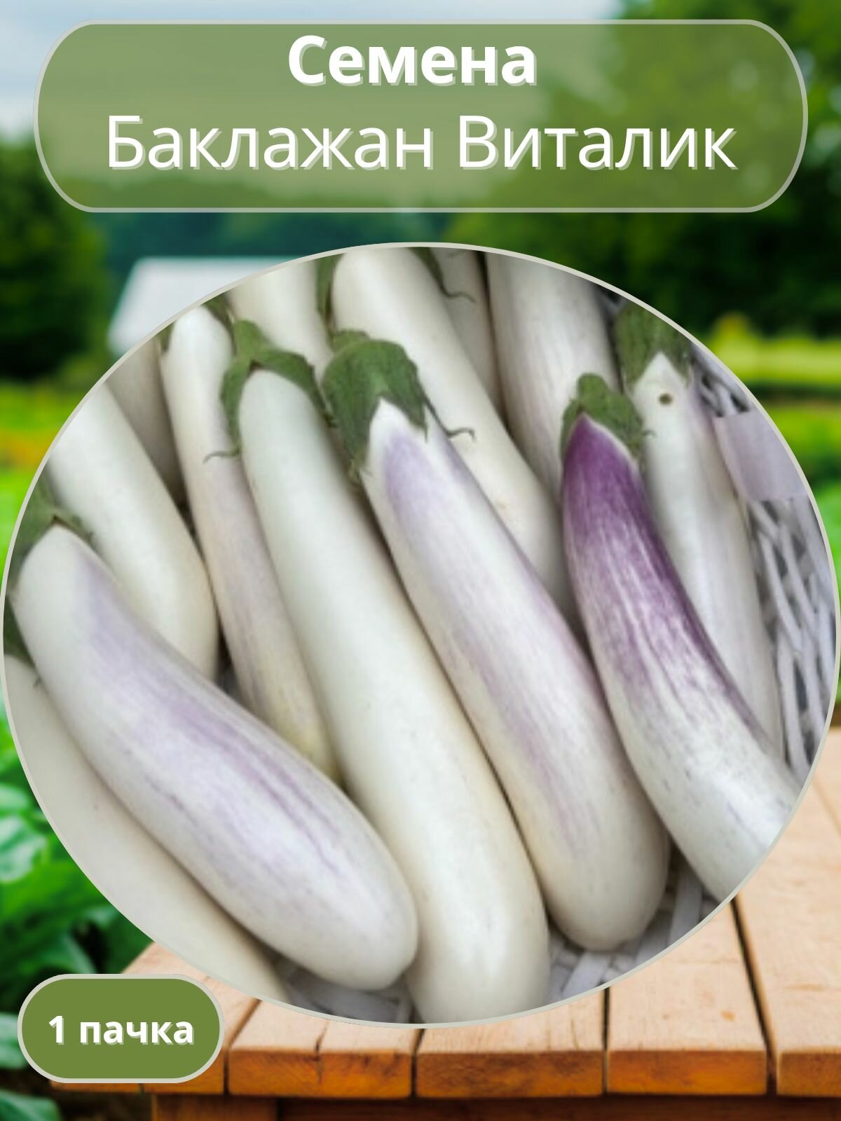 Баклажан Виталик, семена 10 шт