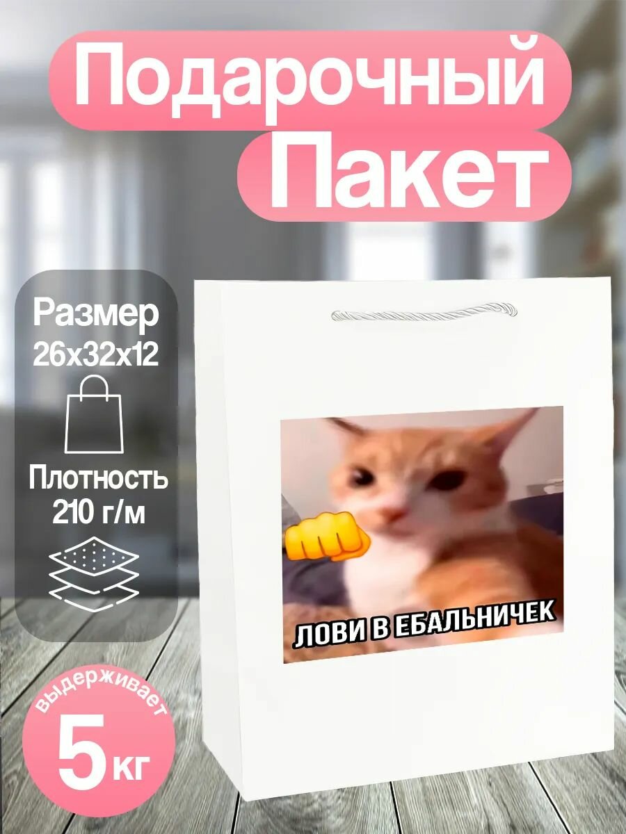 Пакет подарочный мем котики