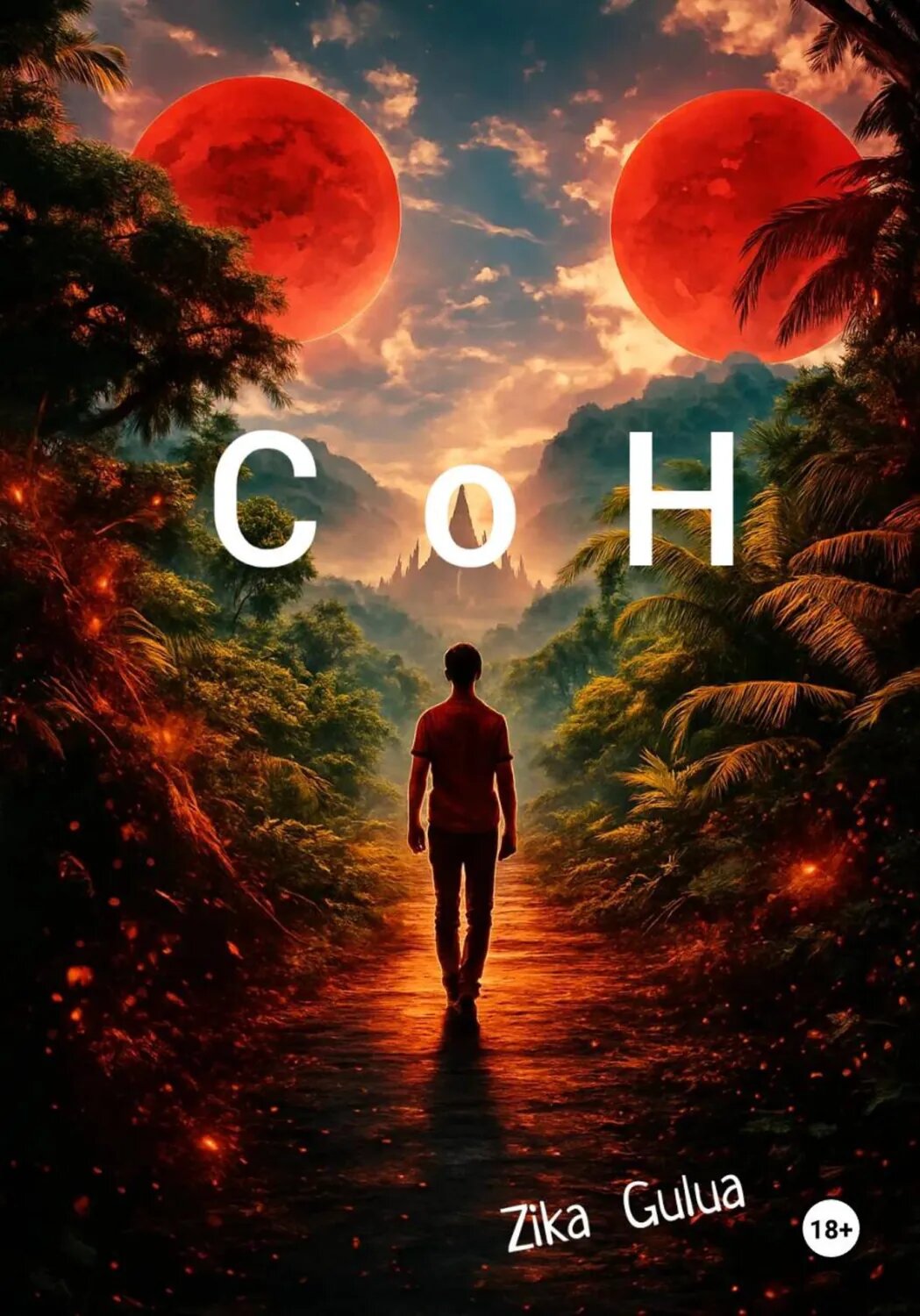 Сон [Цифровая книга]