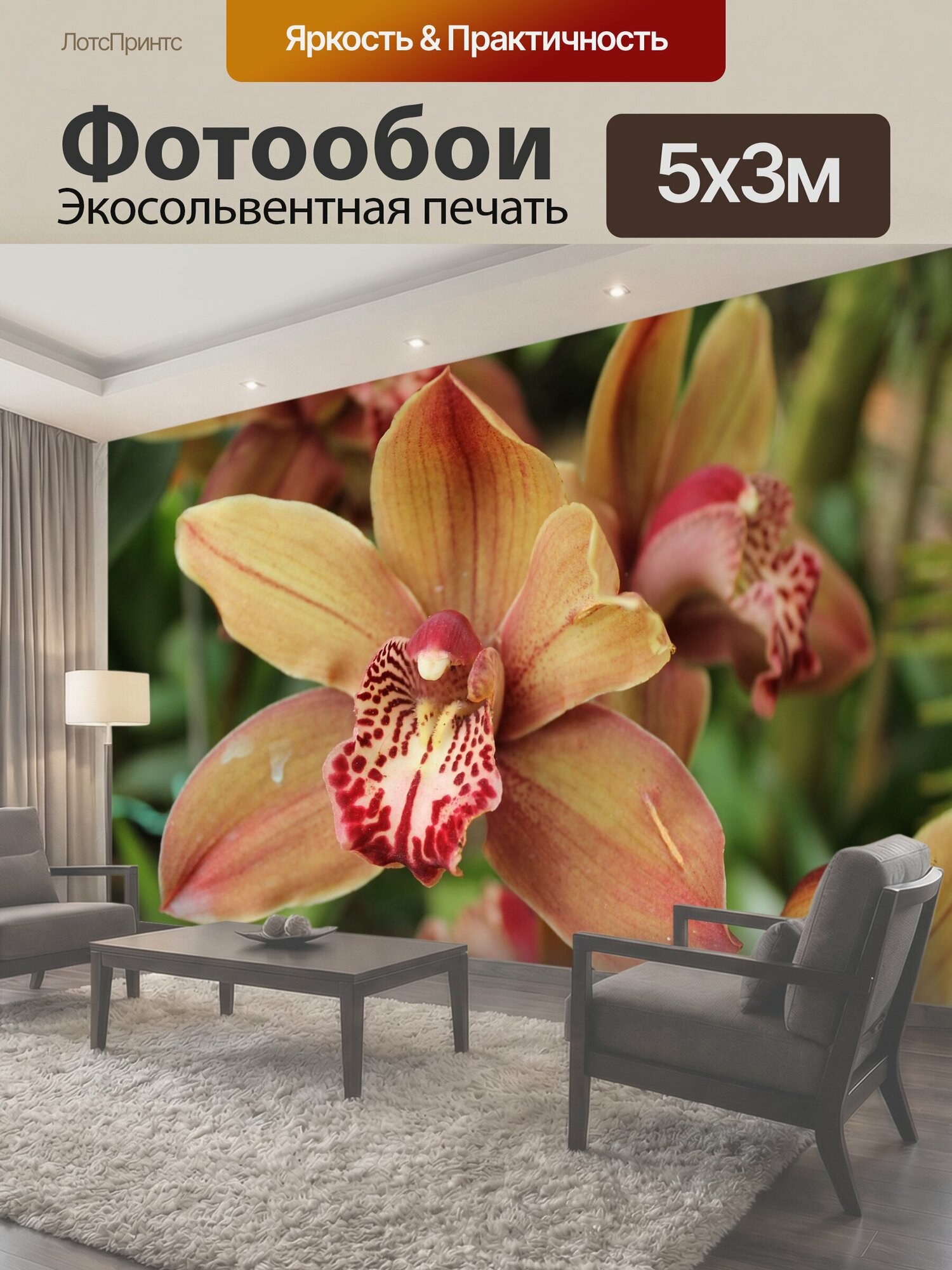 Фотообои "Цветочный, орхидеи, орхидея" 500x300 см. экосольвентная печать