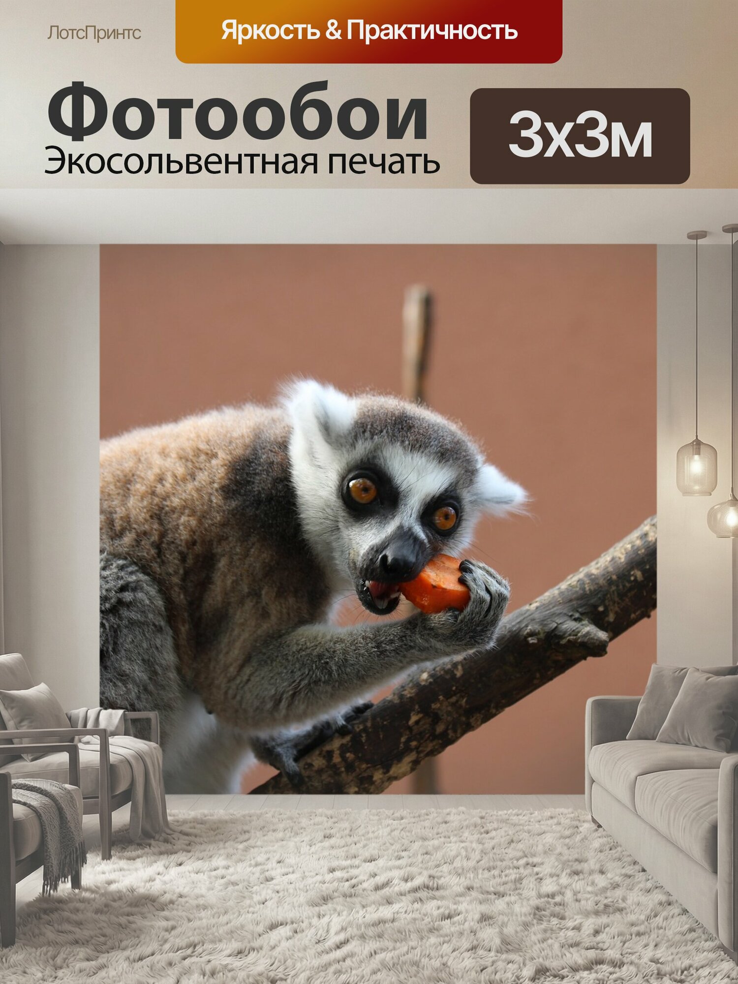 Фотообои "Маки, обезьяна, кольцо хвост лемур" 300x300 см. экосольвентная печать