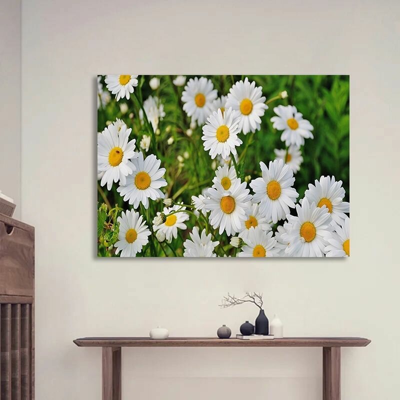 Картина ВсеКартины. тут "Полевые Ромашки", холст, на подрамнике