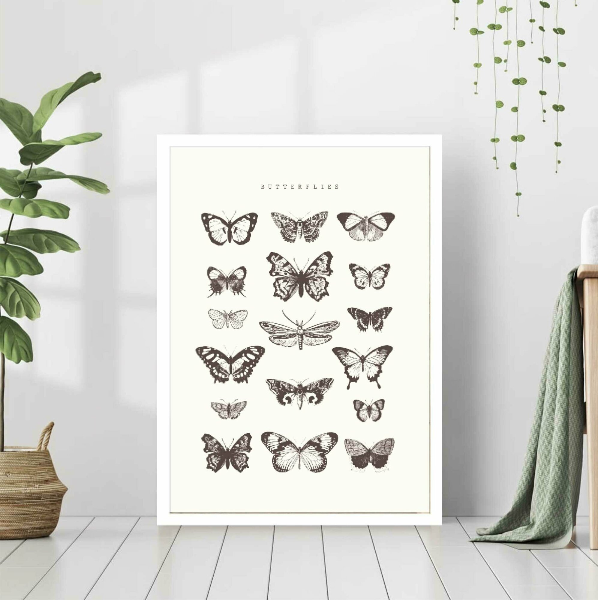 Постер "Бабочки рисунок иллюстрация" 40x50 в белой рамке на стену для интерьера