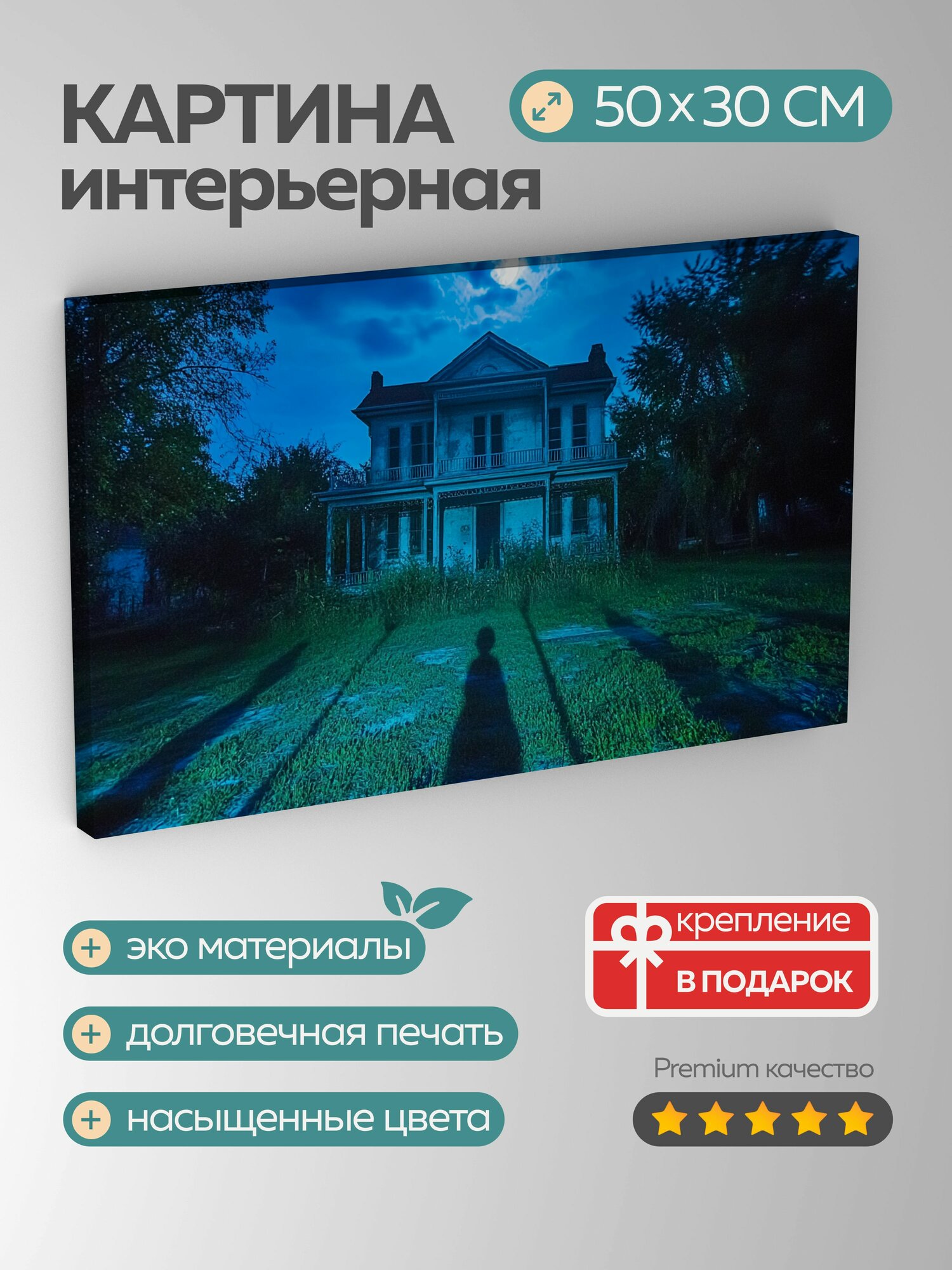 Картина на холсте интерьерная 50х30 см, дом, привидения, ночь, Хэллоуин, лунный свет, тени, двор, таинственность, Canon