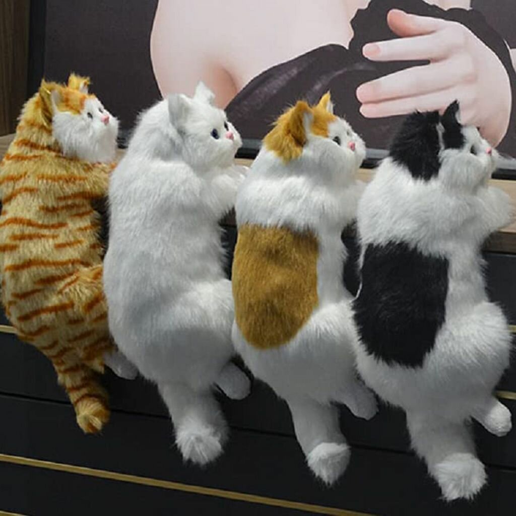 Телевизионная кошка — фото 1