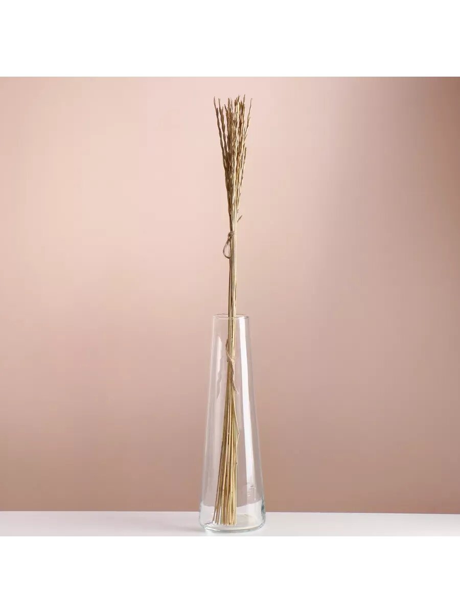 Сухоцветы "Райграс" банч 21 шт, 60 (+/- 6 см) натуральный