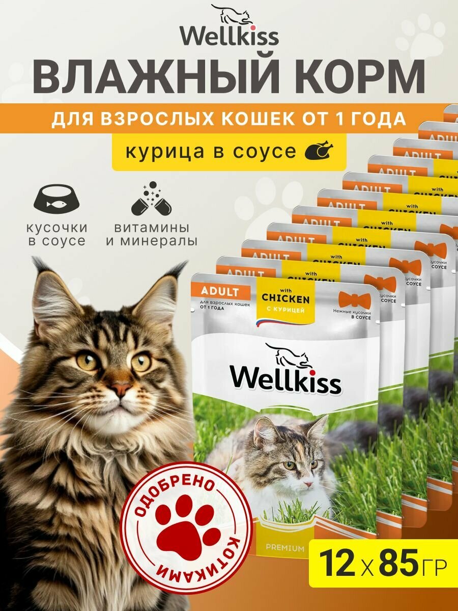 Wellkiss Adult Влажный корм (пауч) для взрослых кошек, с курицей в соусе, 85 гр. * 12 шт.