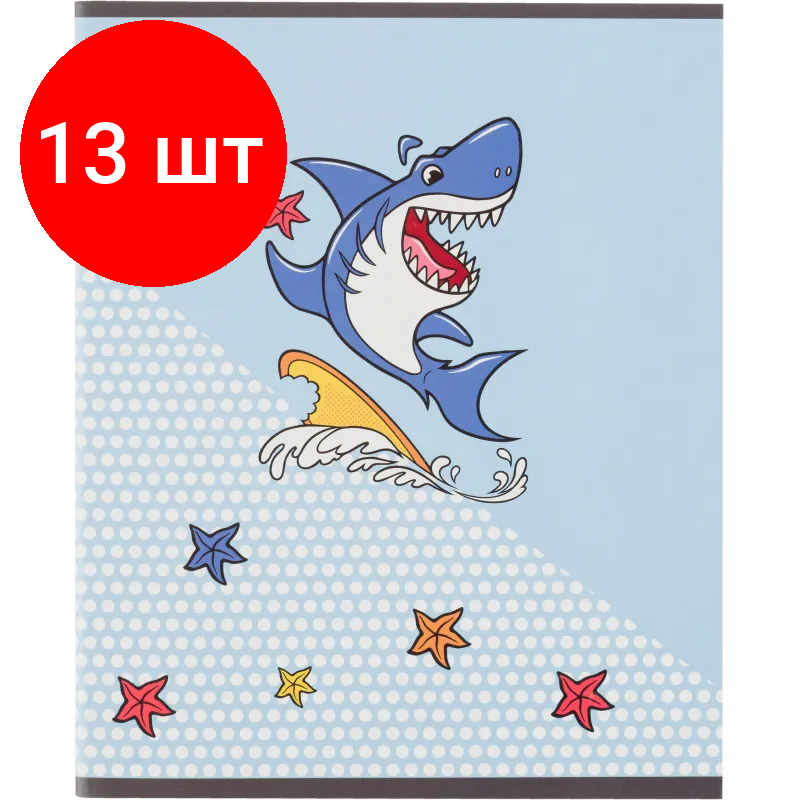 Комплект 13 штук, Тетрадь общая А5 48л Shark, клет, скреп, ВД-лак