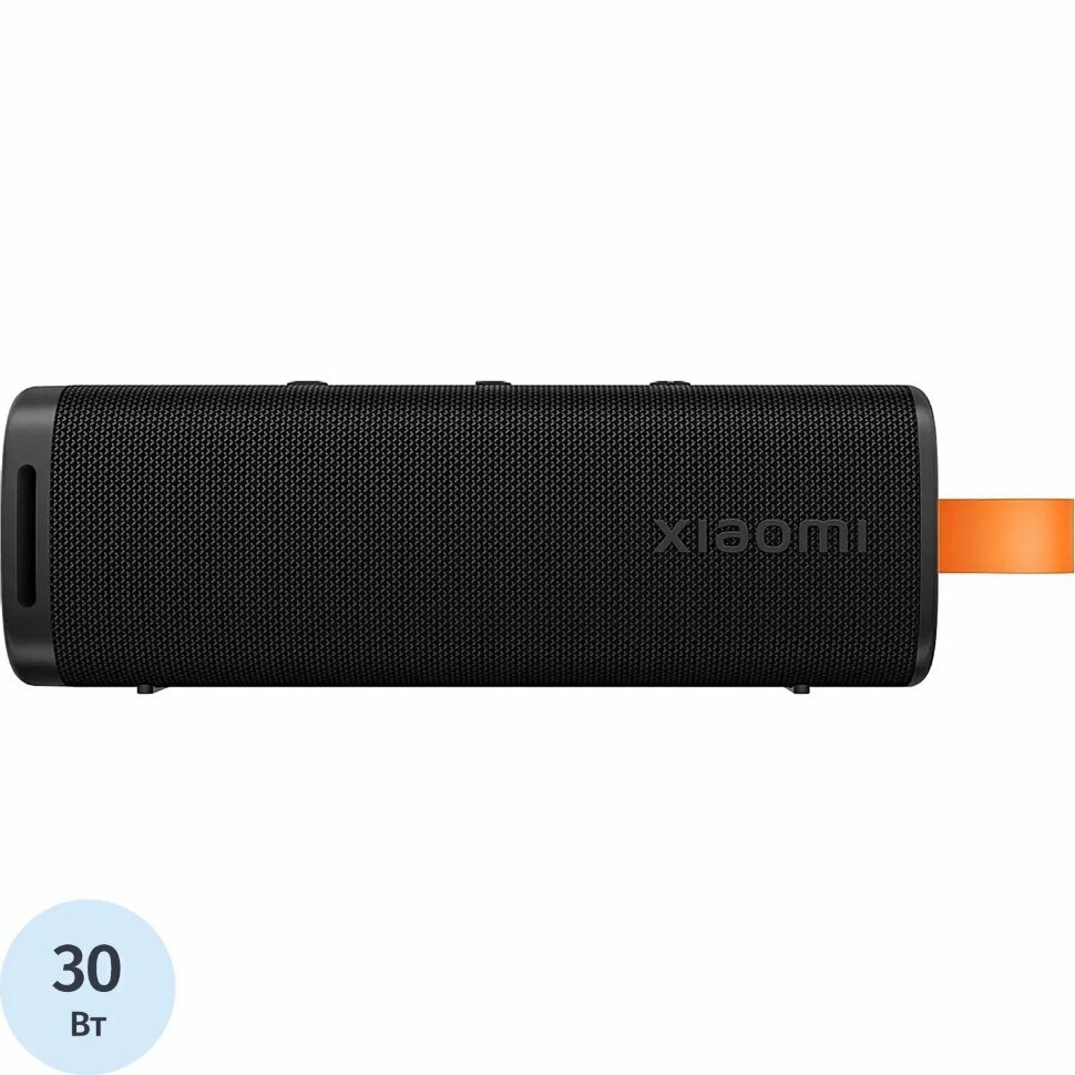 Акустическая система Xiaomi Sound Outdoor S29D 30W Black (QBH4261GL), 2144603