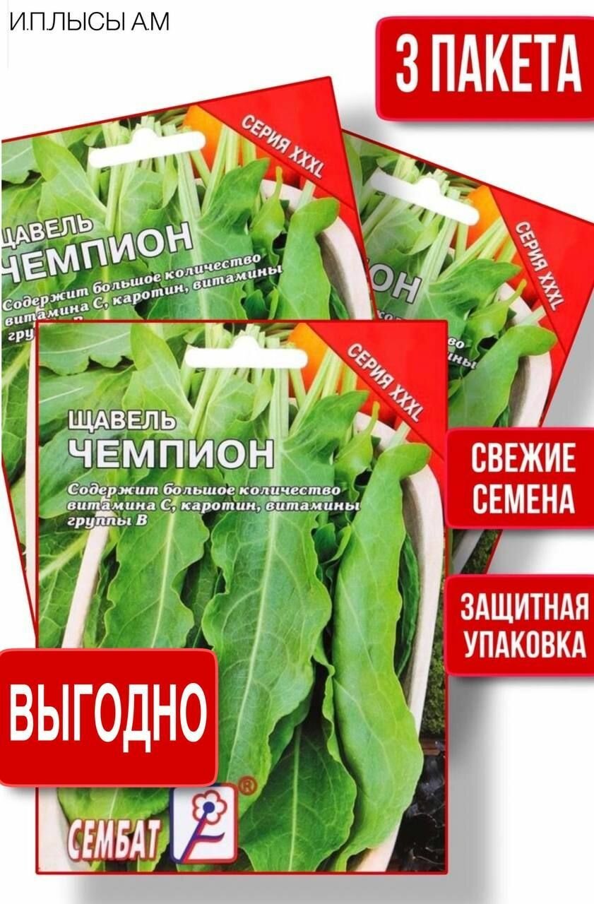 Семена Щавель Чемпион