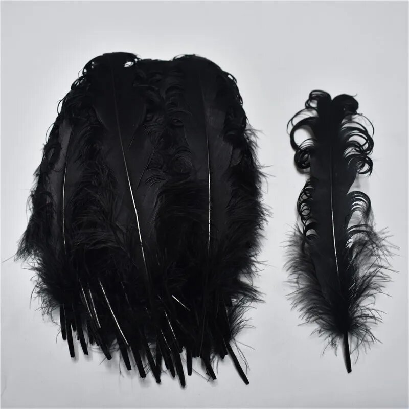 Цветные гусиные перья для рукоделия WHxmsh 20pcs, Black feathers