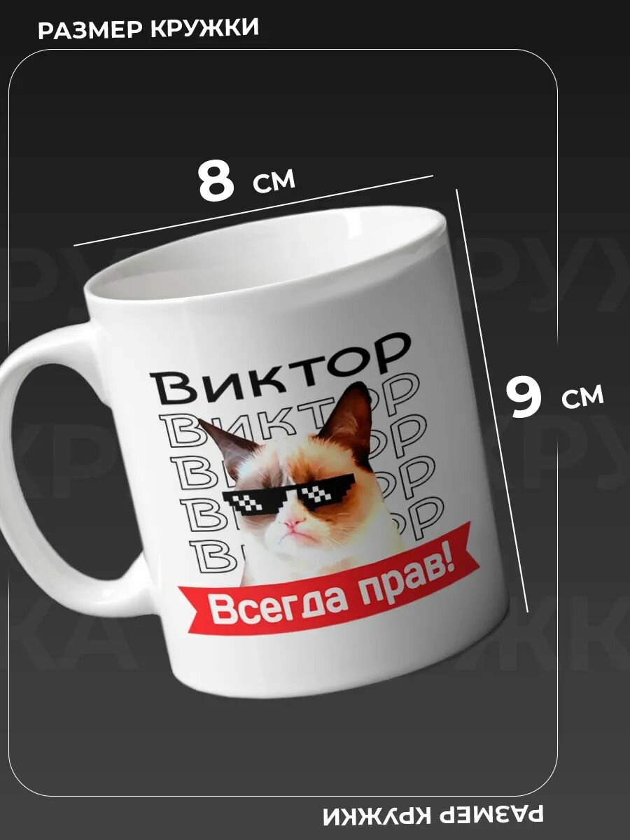 Кружка керамическа PNP NARD, 330 мл, с цветным принтом Виктор всегда прав