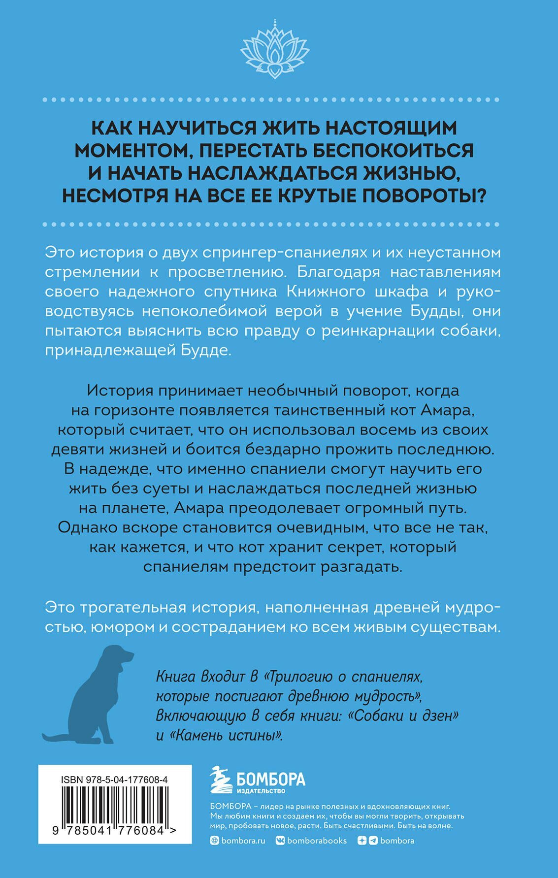 Кошка, у которой осталась одна жизнь (Гэри Хедс)