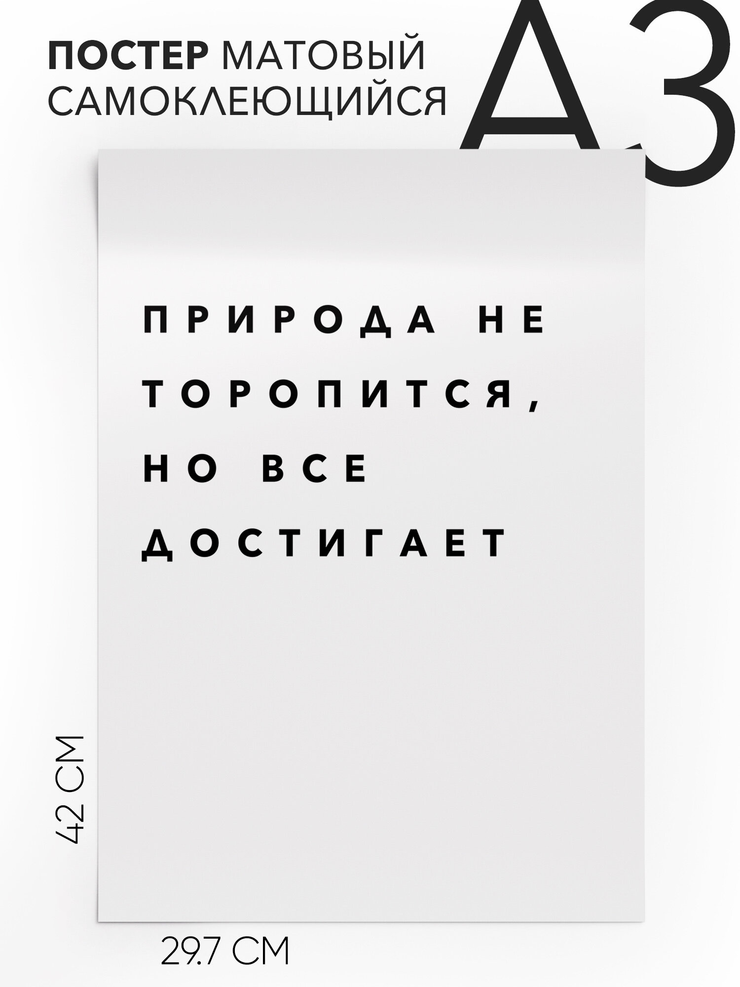 Постер интерьерный на стену - Цитата Леонардо да Винчи Природа не торопится, но все достигает, Самоклеящийся, 30х40, А3