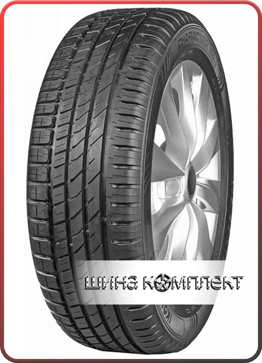 Автомобильная шина Ikon / Nokian Tyres Character Eco 205/55 R16 91H летняя