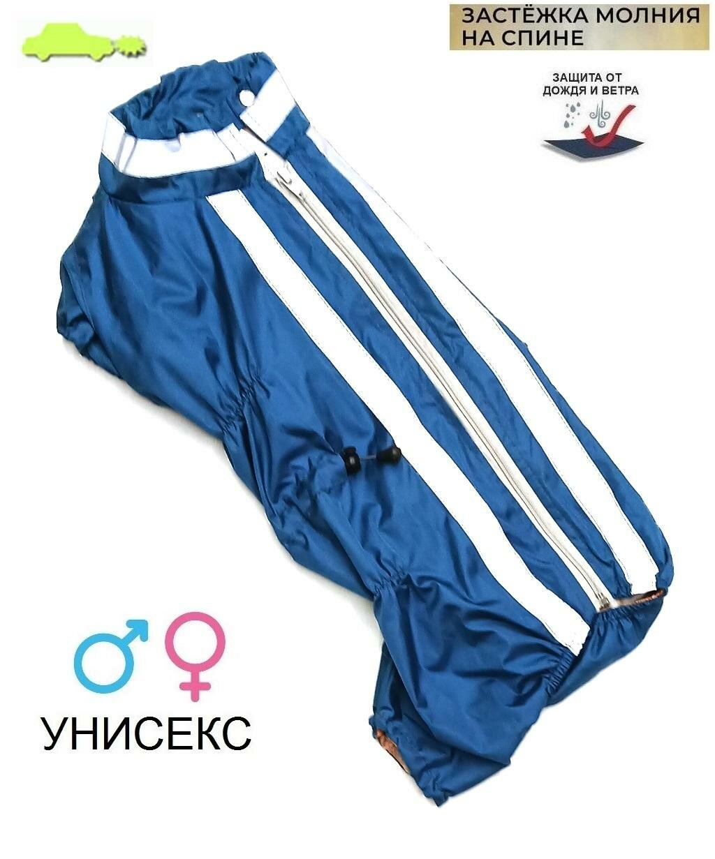 Одежда для вельш-корги. Комбинезон-Дождевик по спинке 41см (41см )