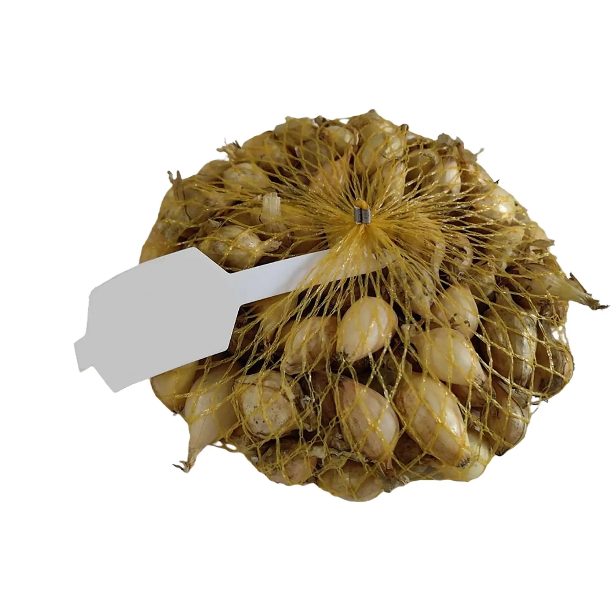 Beginia Стурон лук-севок 0,5 кг сорт для раннего посева и крупного урожая