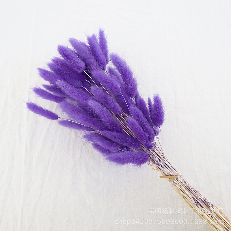 Пучок травы "Кроличий хвост", фиолетовый, 60 палочек