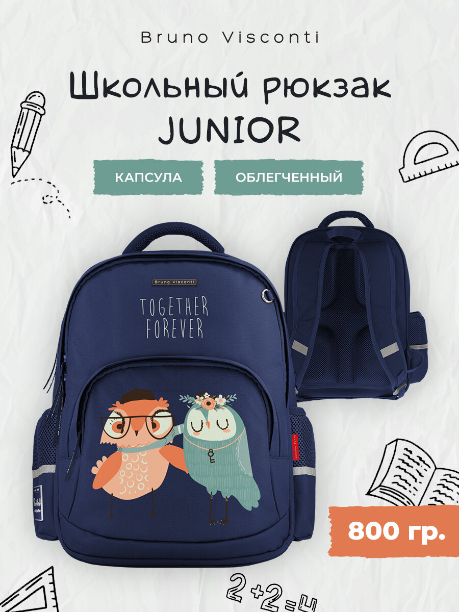 Рюкзак школьный классический для девочки Bruno Visconti "CUTE OWLS.TOGETHER", синий, с эргономичной спинкой арт.12-002-210/02