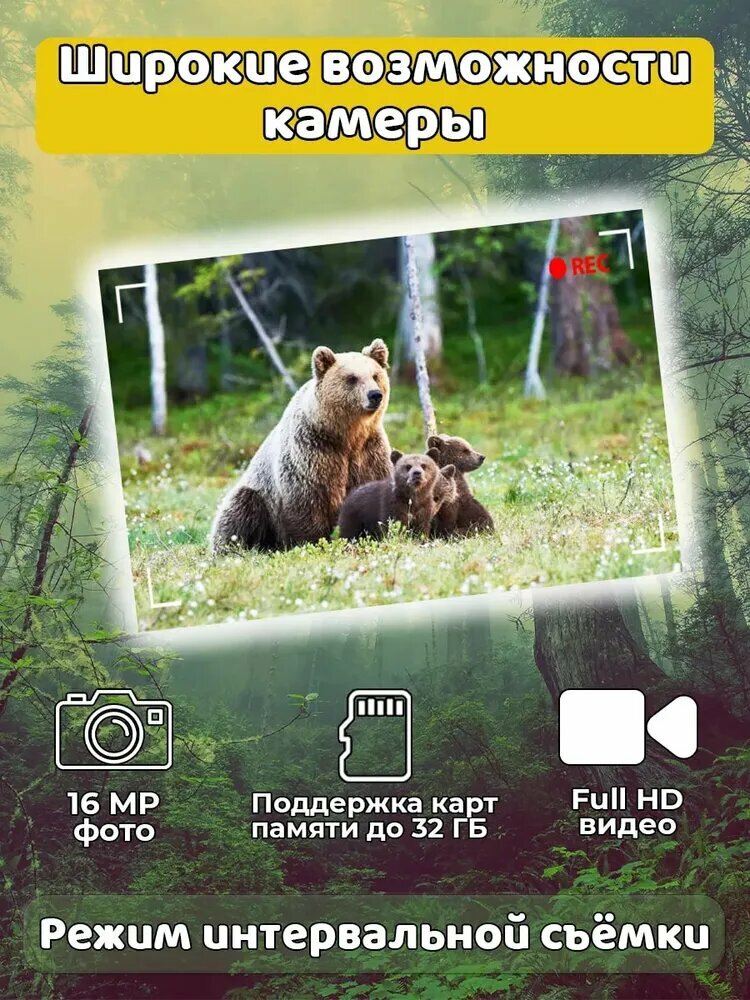 Фотоловушка — фото 1