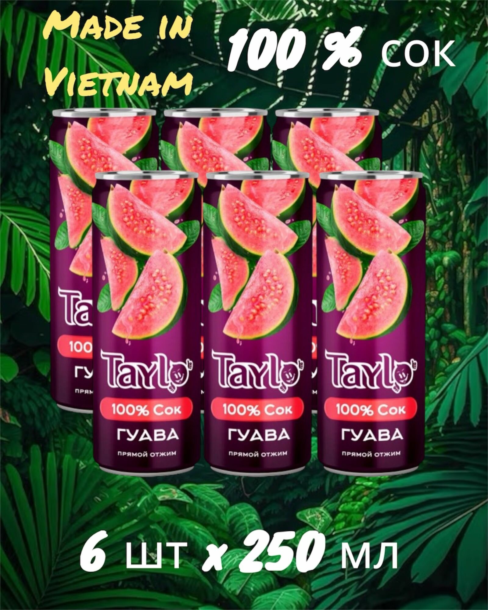 Сок гуава 100% прямого отжима TAYLO Тайло, 6 шт по 250 мл, Вьетнам