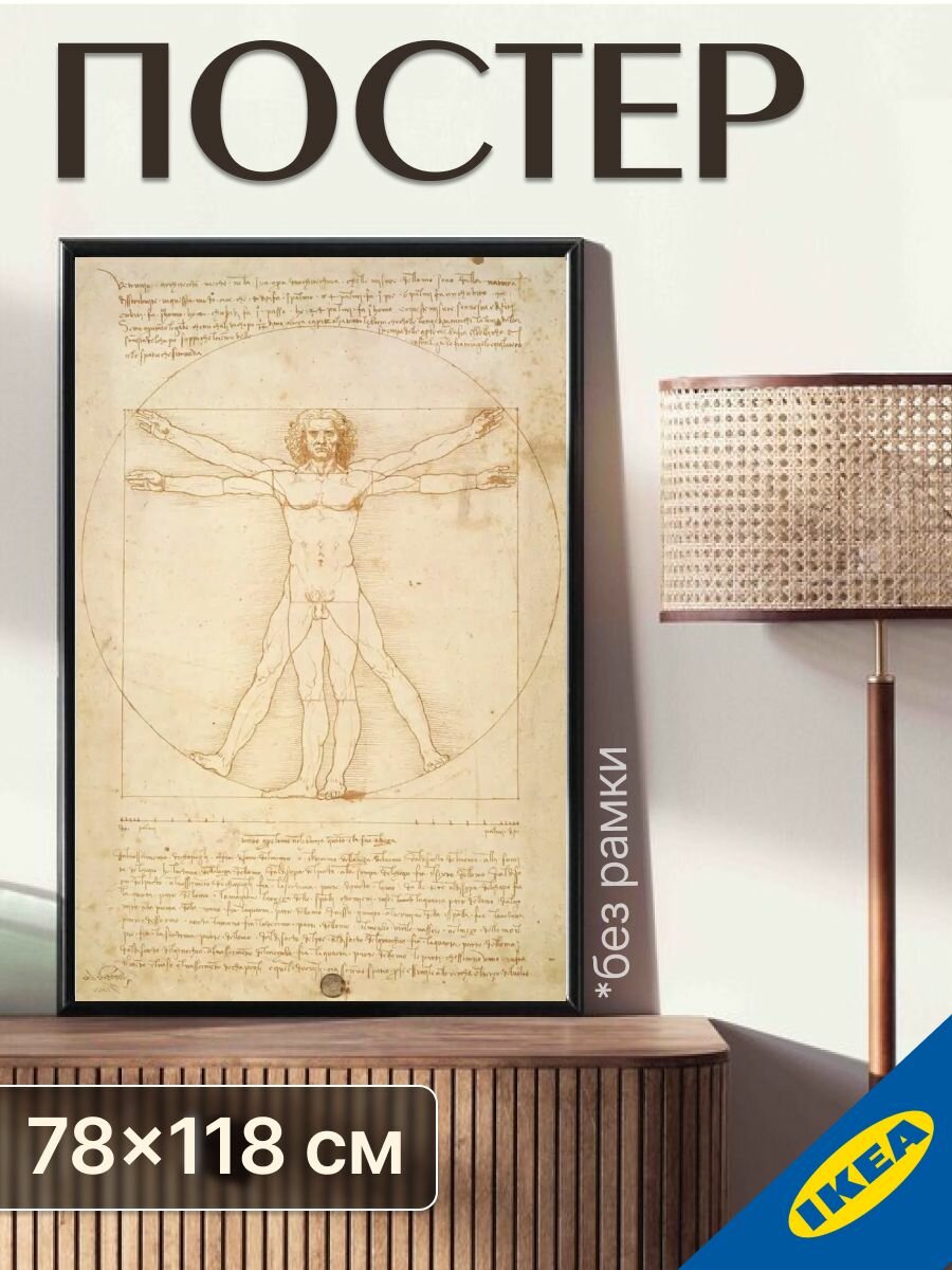 Постер 78х118 см Витрувианский человек IKEA BJORKSTA бьёркста