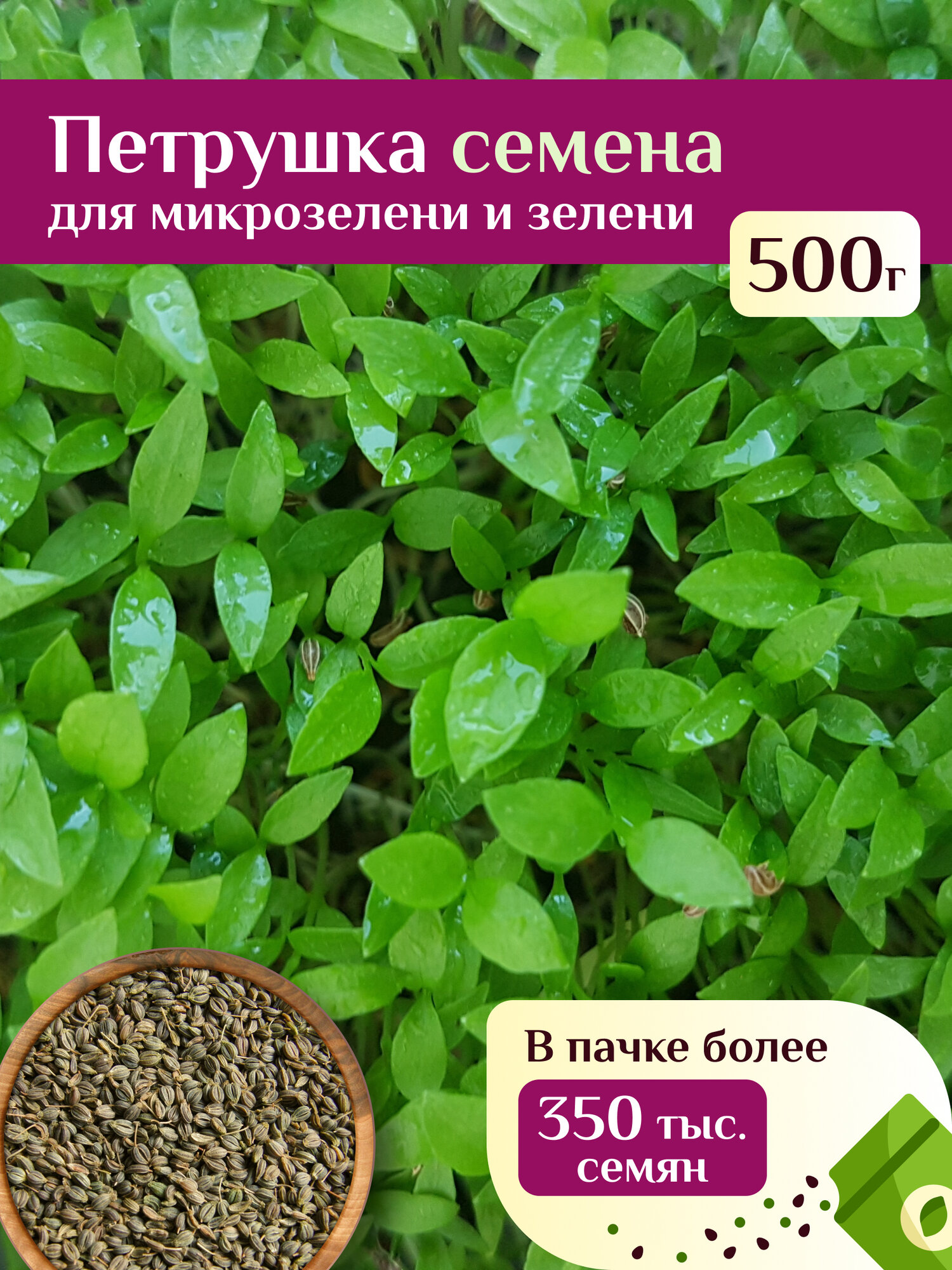 Петрушка семена для микрозелени и зелени, Ильинские проростки 500г