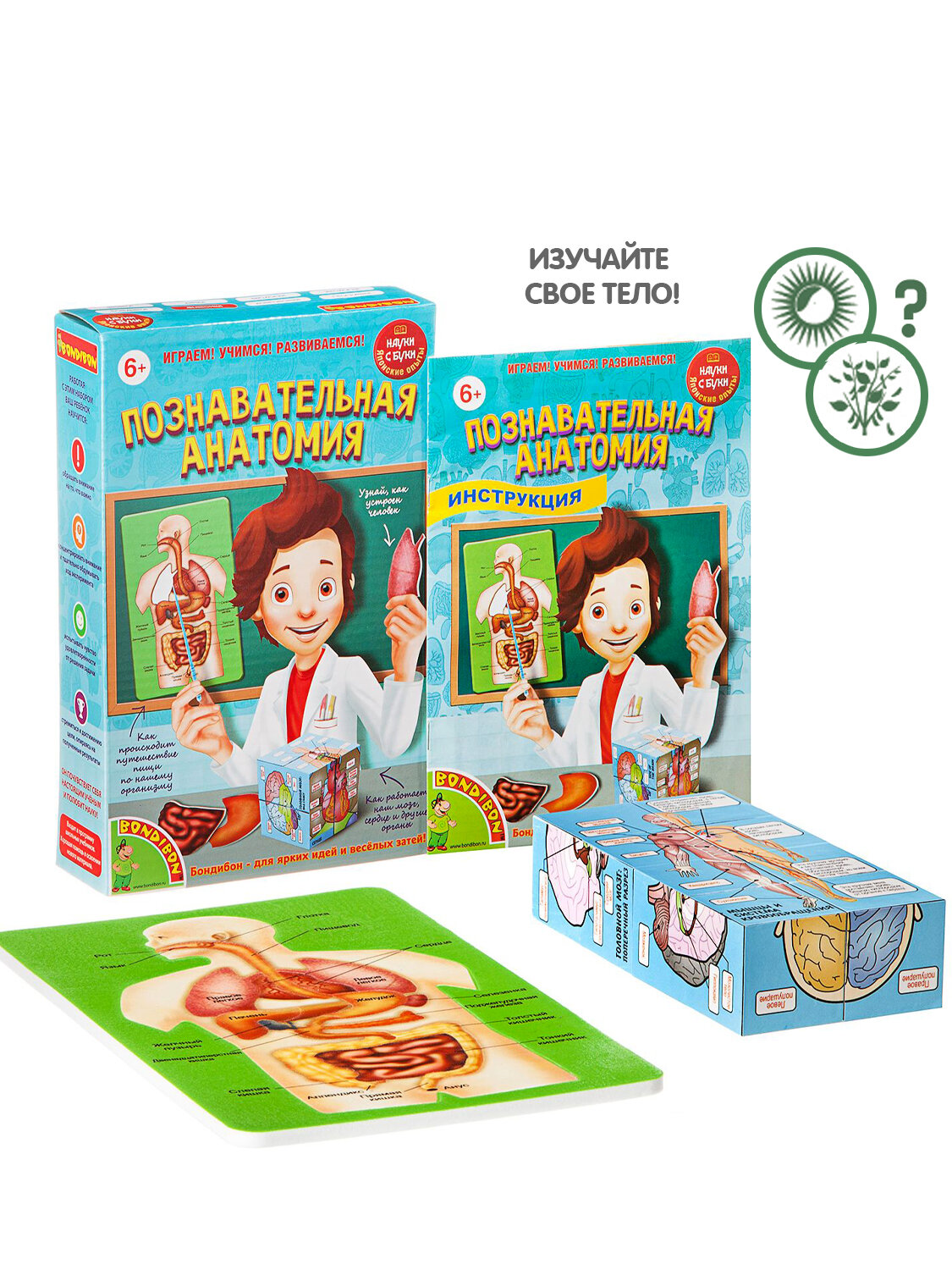 Набор для опытов Bondibon "Познавательная анатомия" Японские опыты Науки с Буки