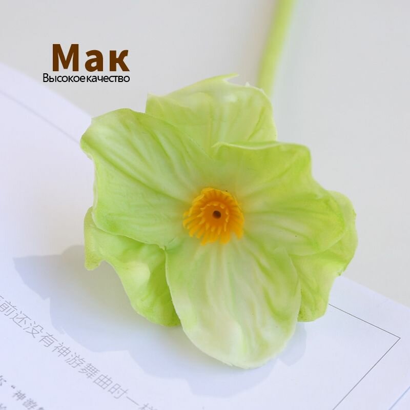 Стабилизированные цветы, мак, 32 см, 10 штук