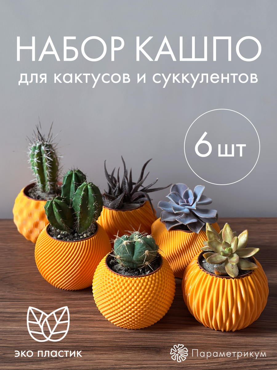 Набор кашпо для кактусов и суккулентов, 6 шт, эко PLA-пластик