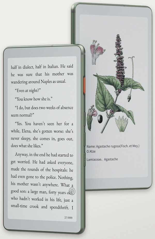 Электронная книга с имитацией бумаги Viwoods AiPaper SE08C, цветной дисплей 6.13-inch