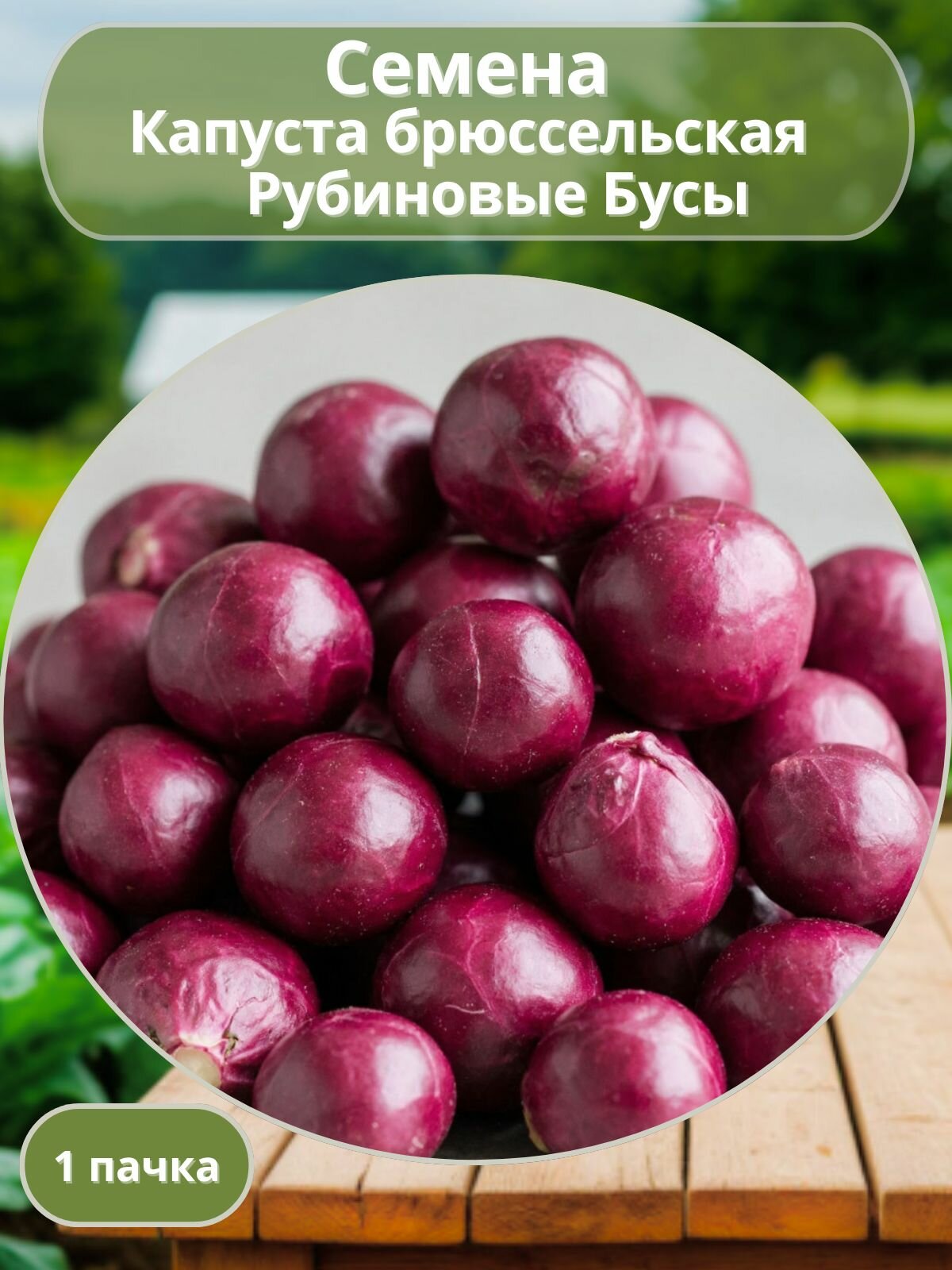 Капуста брюссельская Рубиновые Бусы, семена 10 шт