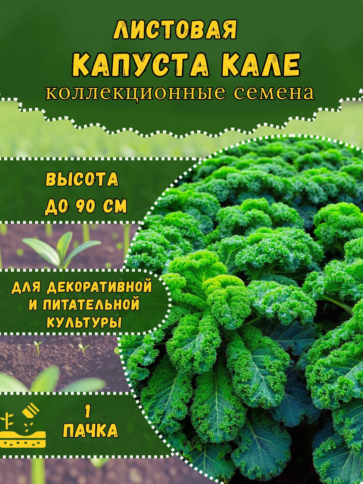 Семена Капусты листовой "Кале", 10 семян