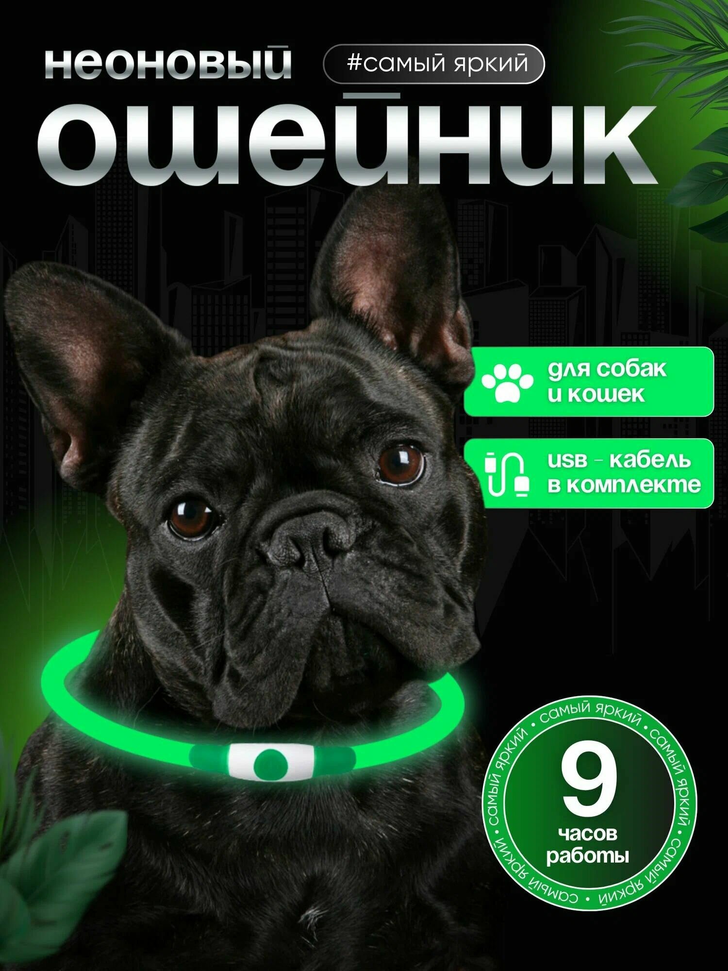 Светящийся ошейник с USB зарядкой Зелёный