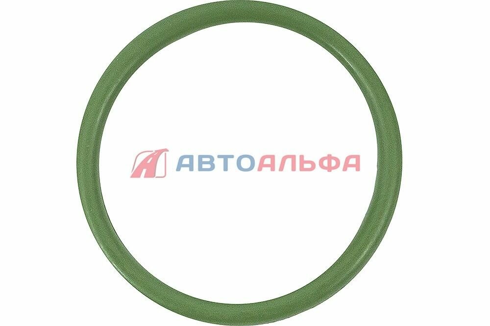 Кольцо уплотнительное секции 027-031-25 (ГНИ 75)