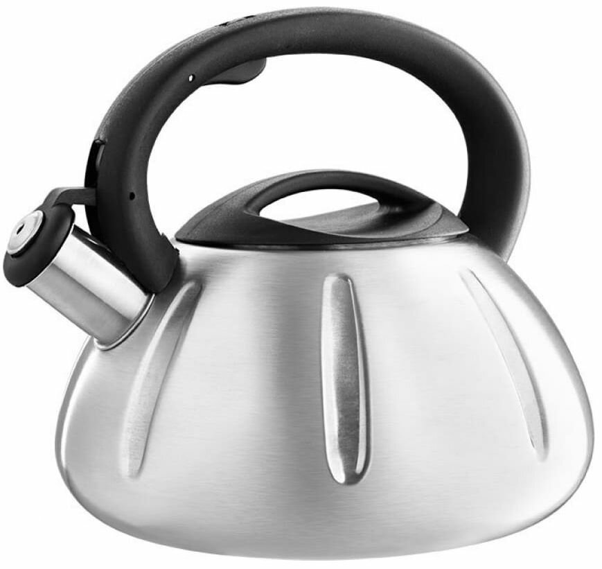 Чайник Webber BE-0569/1, серебристый