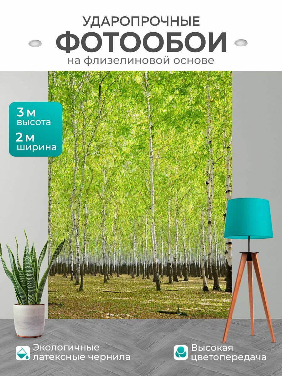 Фотообои моющиеся ударопрочные "Пейзаж пейзаж в стиле узоров: березовая роща с узорчатыми стволами и листьями, создающими уникальный контраст" 200x300 см. флизелиновые на стену