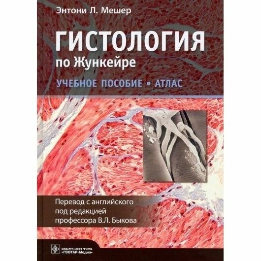 Книга гэотар-медиа Гистология по Жункейре. Атлас. 2022 год, Мешер Э.