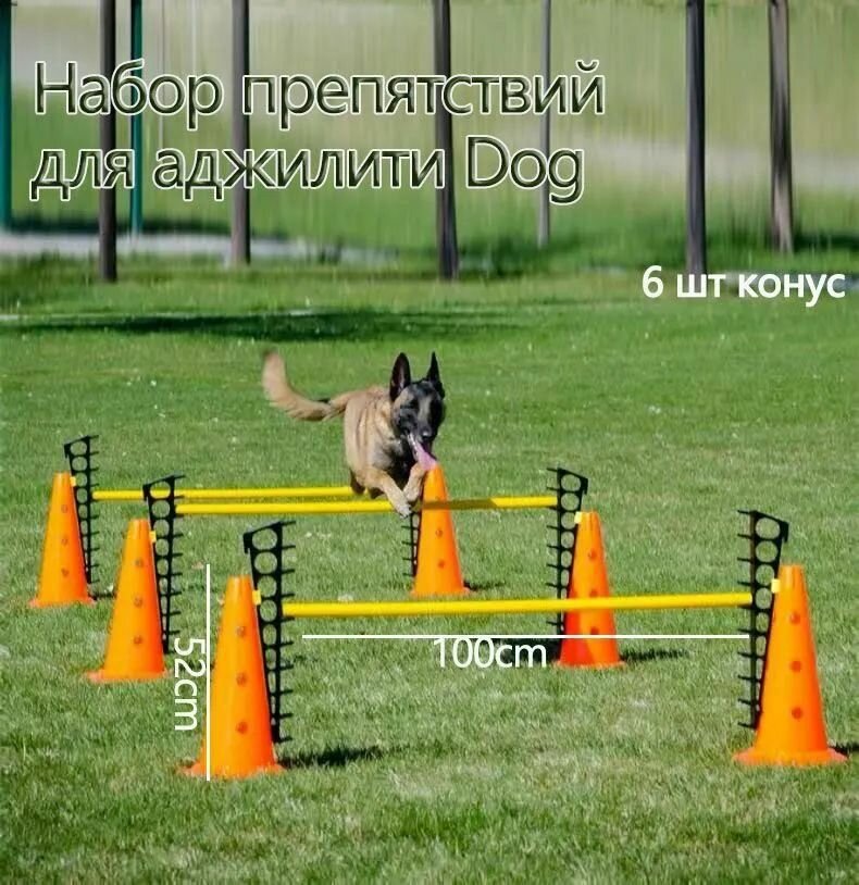 Снаряд для аджилити