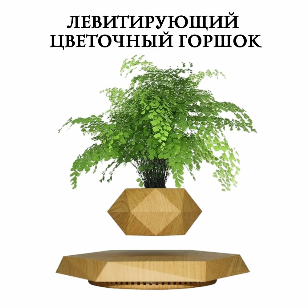 Левитирующий цветочный горшок LevitronOff для растений дерево