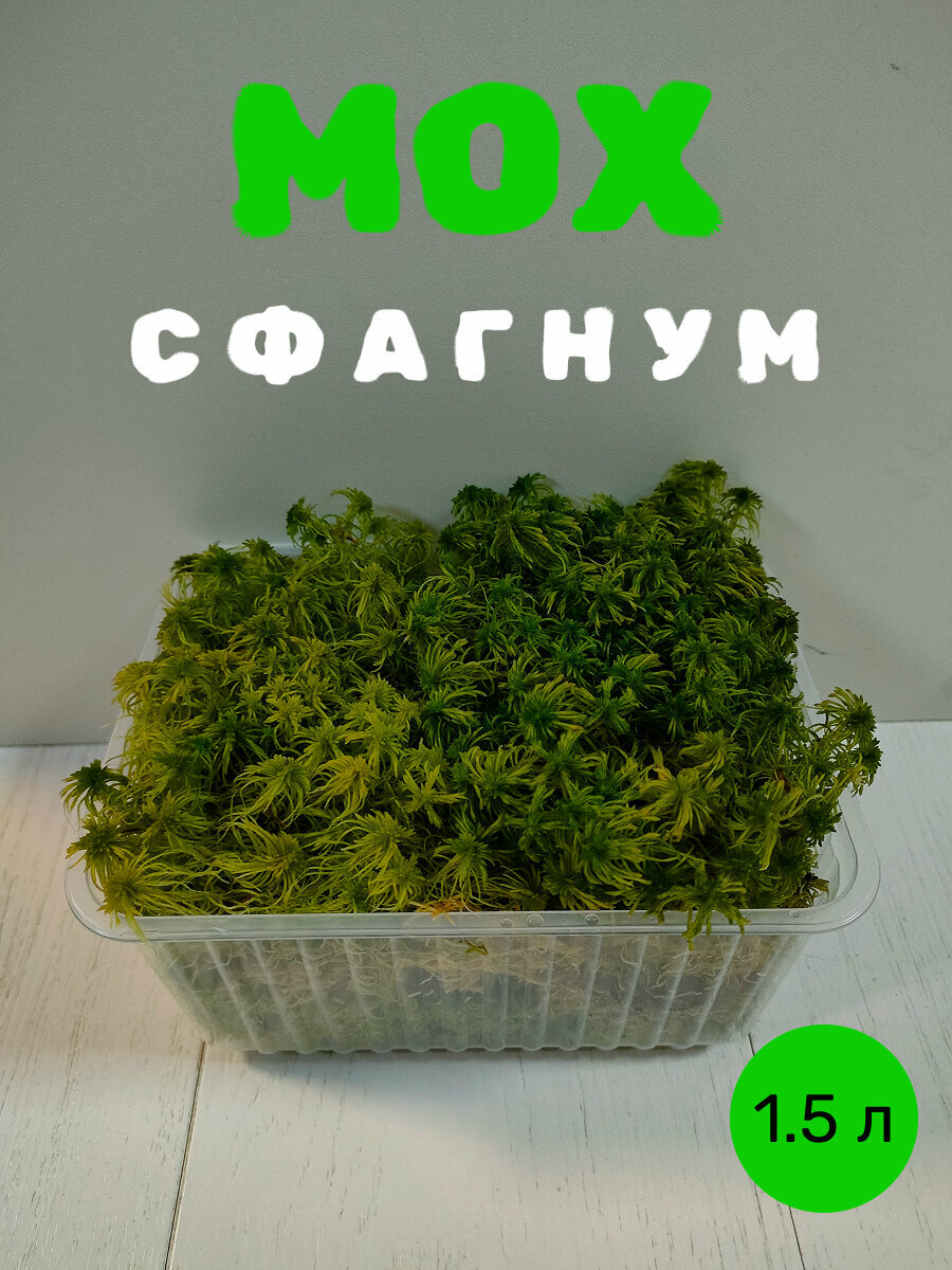 Мох сфагнум свежий лесной 1,5л