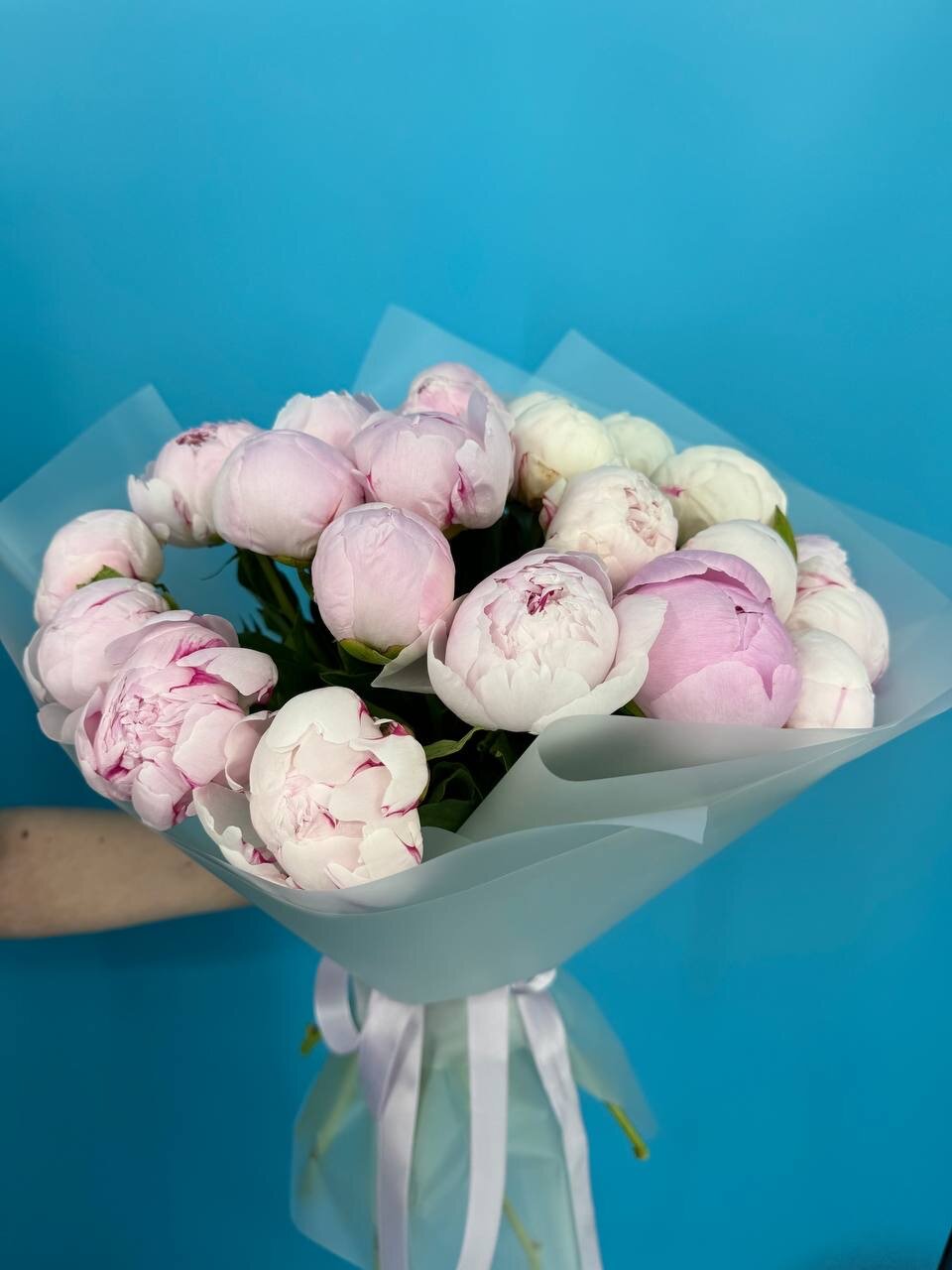 Букет цветов из пионов "Vilvet М", 25 бутонов, высота 50см, нежный розовый и белый цвет