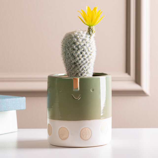 Декоративное кашпо для цветов Adelita-Gaby 10 см, Boltze, 2021081-1