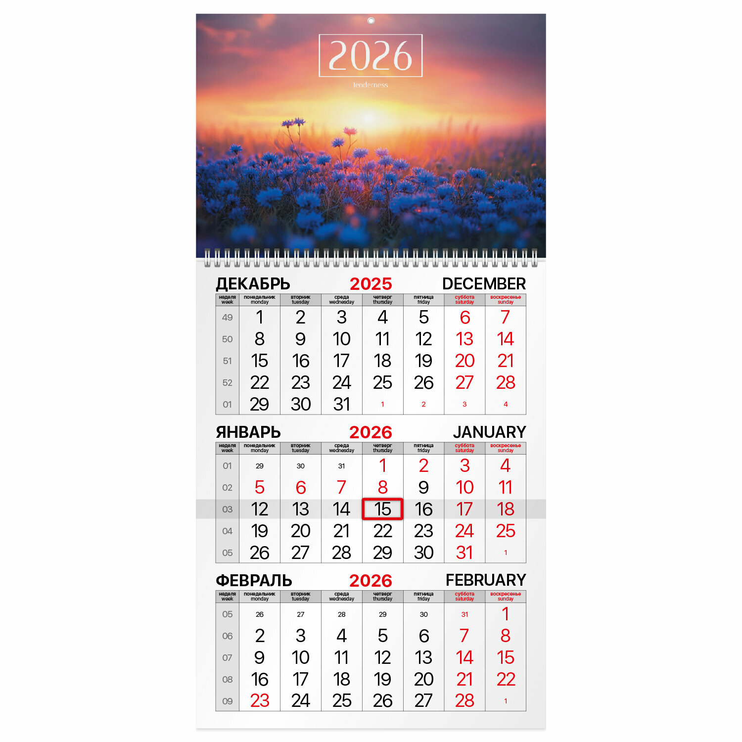 Календарь квартальный на 2026 г, 1 блок, 1 гребень, бегунок, мелованная бумага, BRAUBERG, "Васильковый луг", 116751 (цена только за 1 шт.)