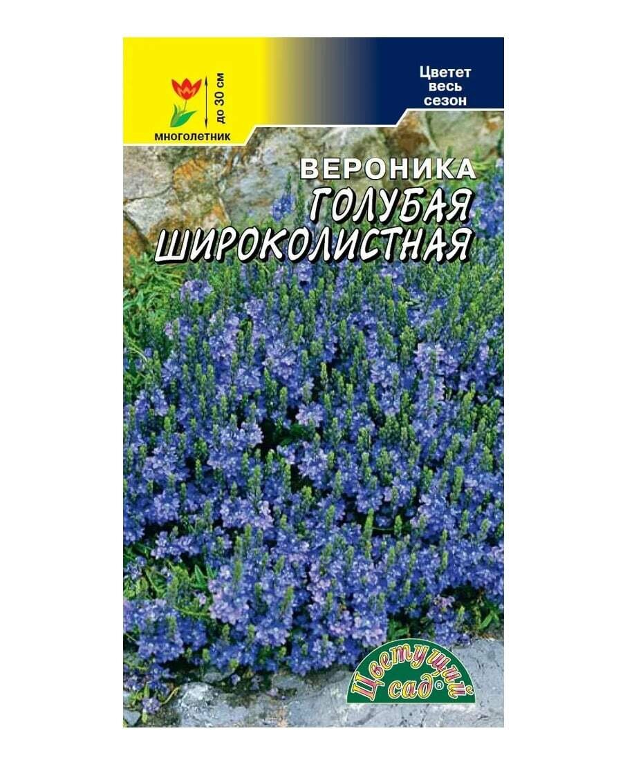 Семена Вероника Голубая Широколистная Цветущий сад