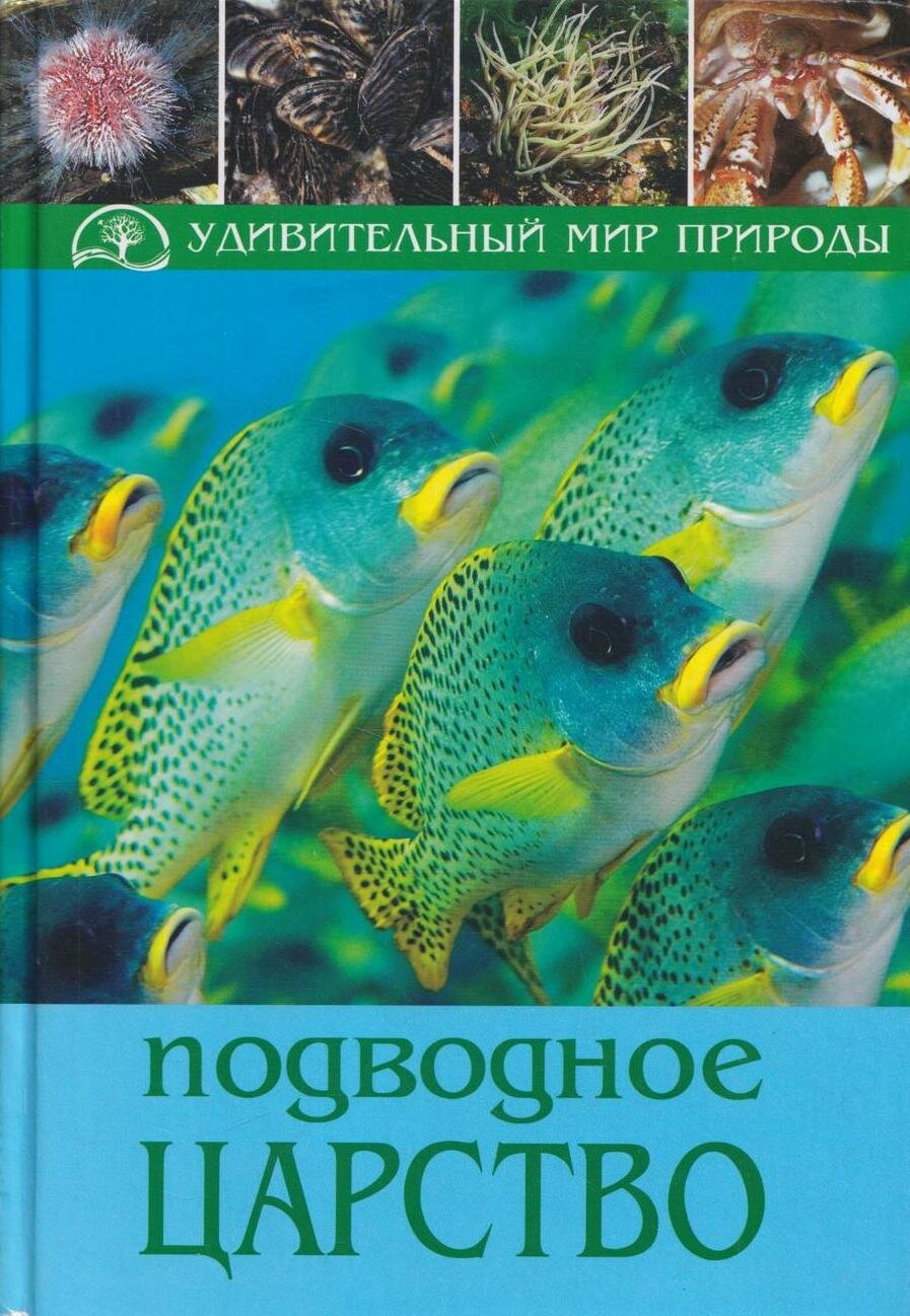 Подводное царство