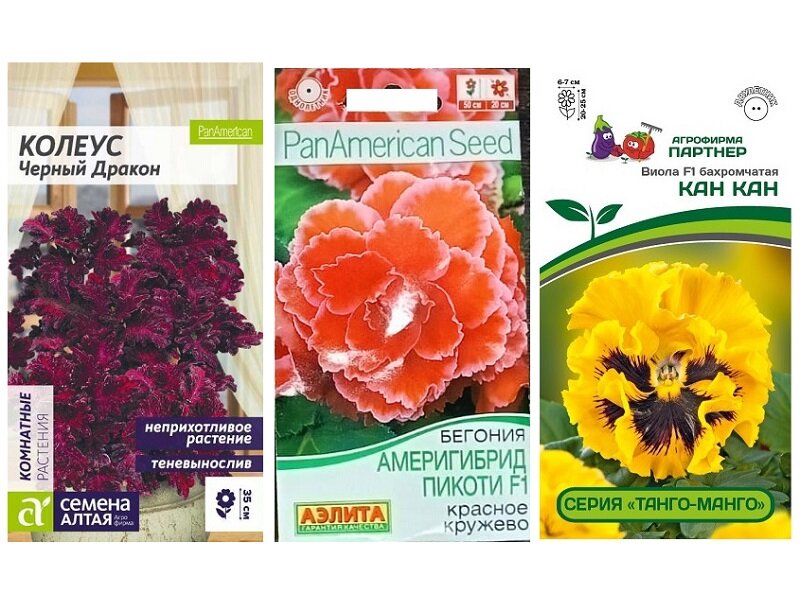 Набор семян Роскошь Цвета (Колеус Черный Дракон, Виола Кан Кан, Бегония Америгибрид Пикоти F1)